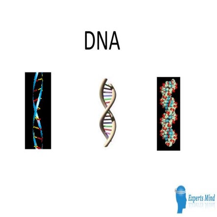 DNA | PPTX | Chemistry | Science