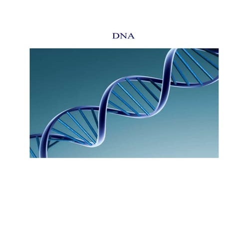 Y Chromosome & DNA Testing in Forensic Science.pptx