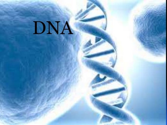 DNA structure, Functions and properties | PPT