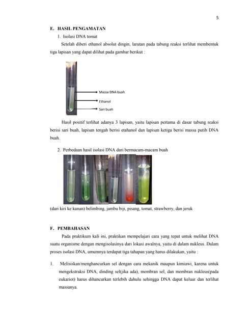 Tahapan Ekstraksi dan Purifikasi DNA, pengukuran kualitas DNA | PPTX