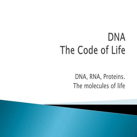 Dna Ppt
