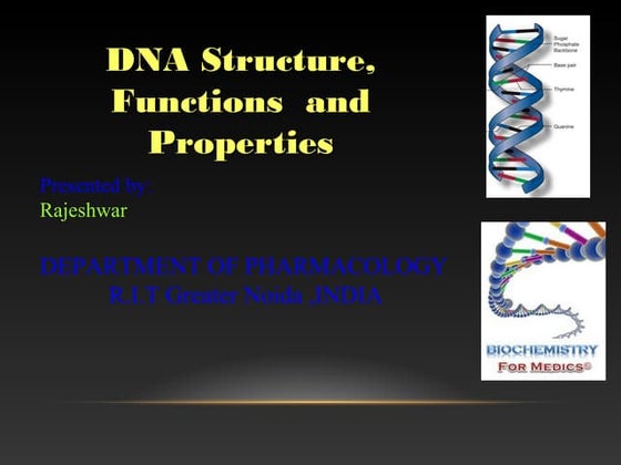 DNA structure and types | PPT
