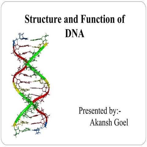 DNA - deoxyribonucleic acid | PPT