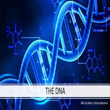 The DNA | PPT