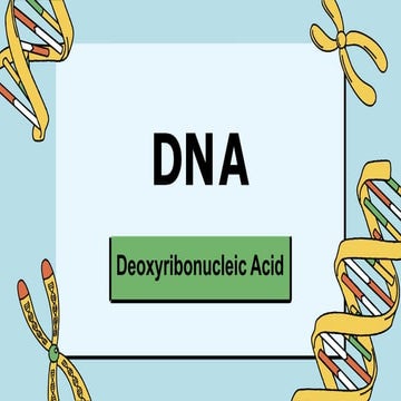 DNA.pptx