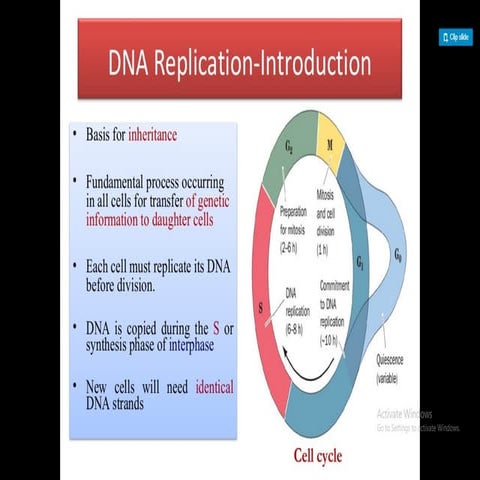 DNA replication process in Cell cycle of | PPTX