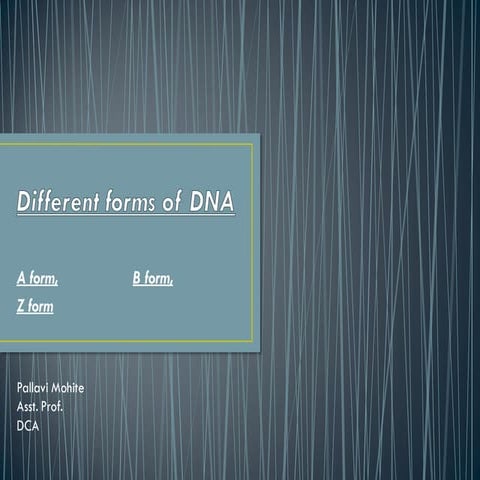 Different from of DNA. Fundamental of biomolecules | PDF | Chemistry ...