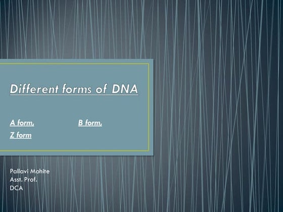 A, b, and z forms of dna | PPT
