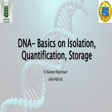 Dna Basics On Isolation Quantification Storage Pptx Biological
