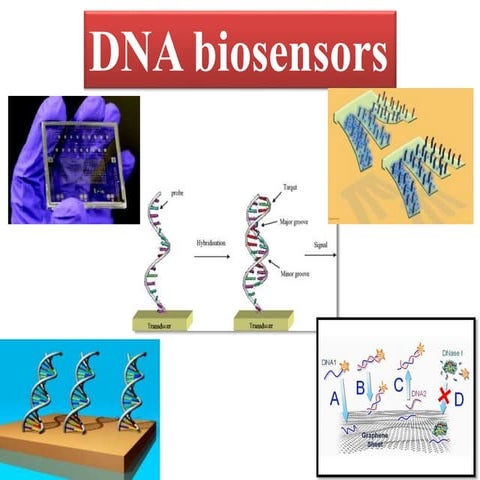 DNA biosensors | PPTX