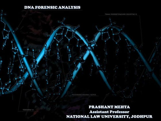 Mt DNA | PPT