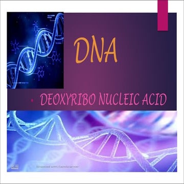 Structure and Functions of DNA. | PDF