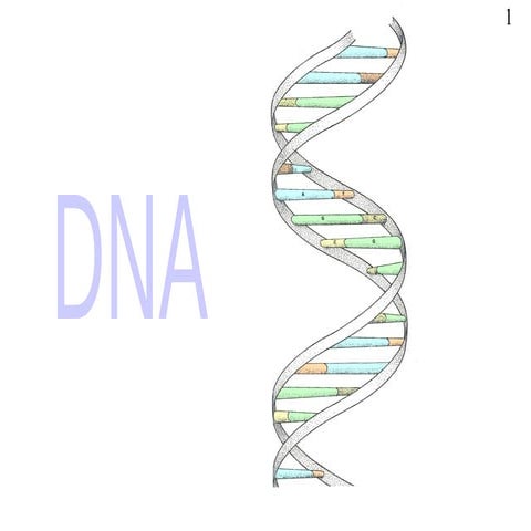 DNA structure | PPT