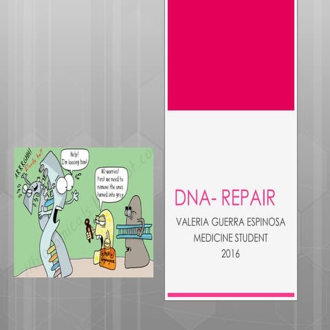 Dna-Repair | PPT