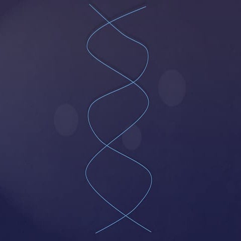 Sweet DNA Replication | PPTX
