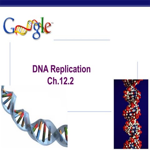 DNA-Replication biology Lesson 3rd Quarter | PDF