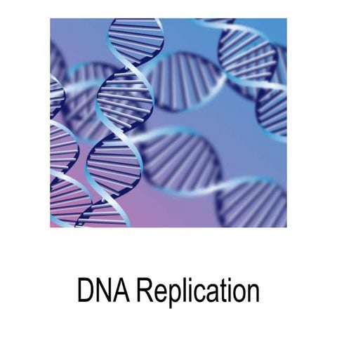 DNA-Replication-WPS-Office.pptx