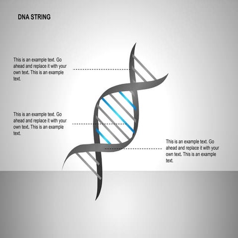 DNA Strand Diagram for PowerPoint | PPT