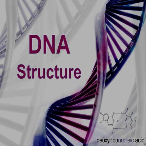 DNA-Structure PPT.ppt................... | PPT