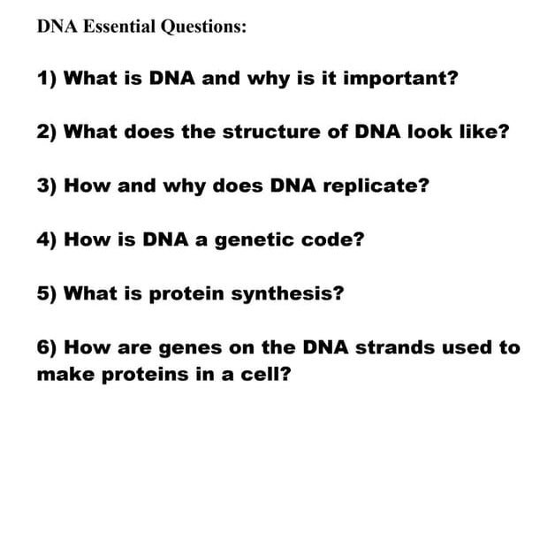 DNA Study Guide | PPT