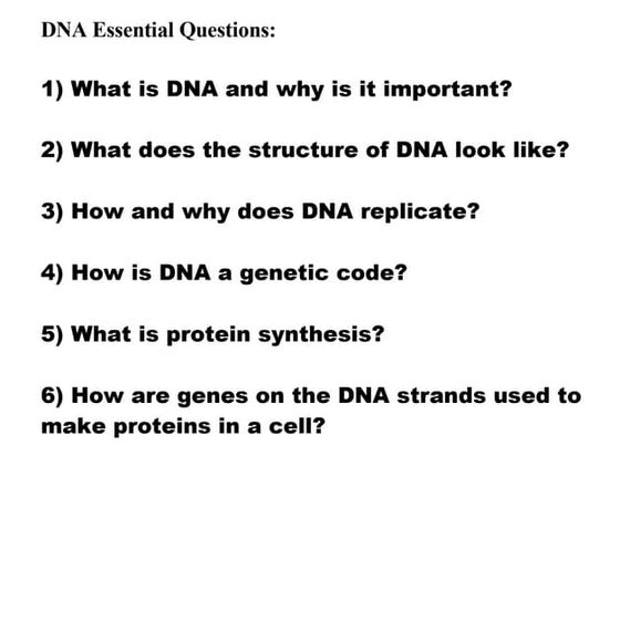 Dna extraction from strawberries ppt questions | DOC | Biological ...