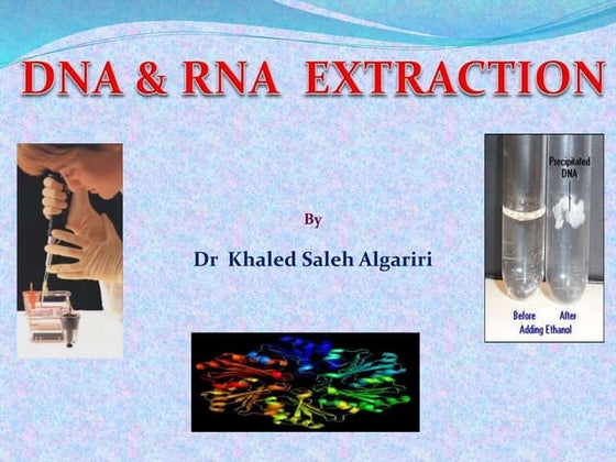 Chemicals used in dna extraction | DOCX