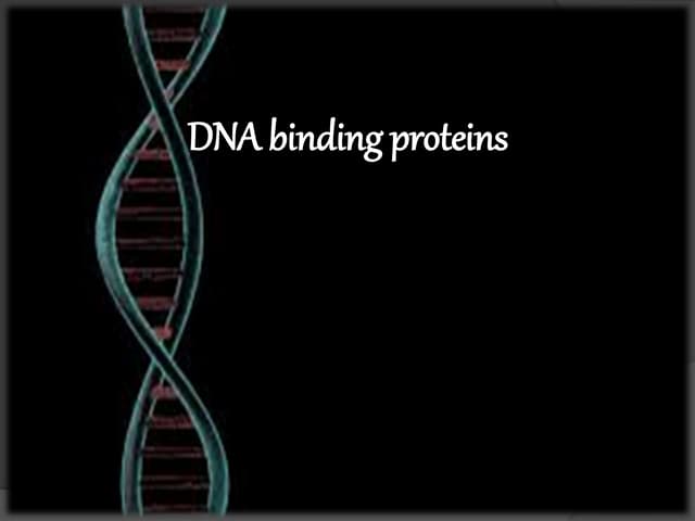 DNA protein interaction.pptx
