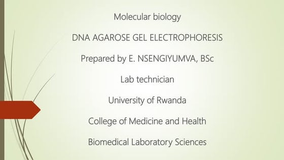 DNA & RNA Quantification by Spectrophotometer.pptx