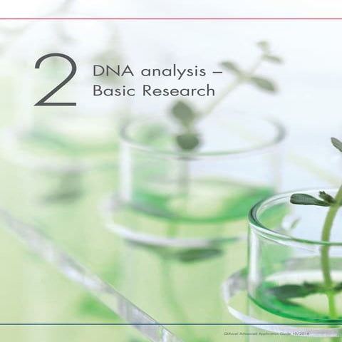 DNA Analysis - Basic Research : A Case Study | PDF