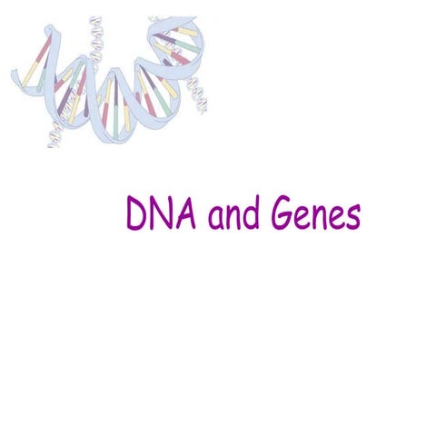 DNA_and_inheritance.ppt