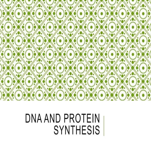 02 The Role of DNA in Protein Synthesis | PPT