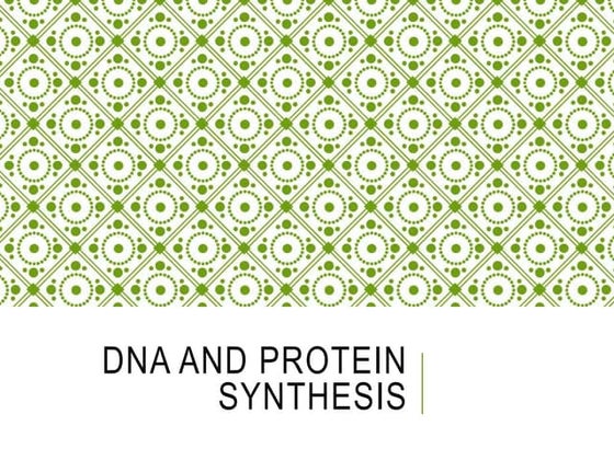 02 The Role of DNA in Protein Synthesis | PPT