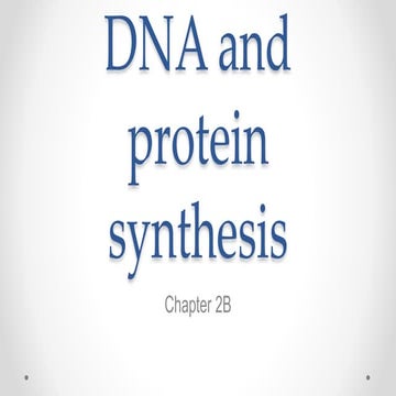 AS Biology - DNA and protein synthesis | PPT