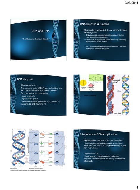 Infographic of basic Biomolecules | PDF | Chemistry | Science