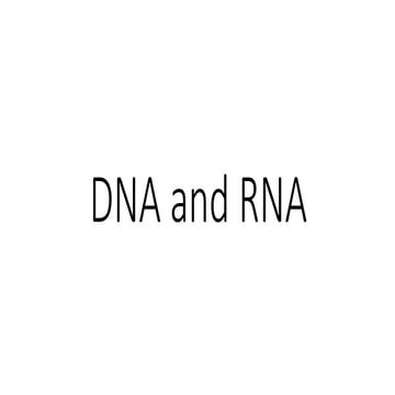 Drna Logo Production And Printing. Second: Shiraz And Cellop...