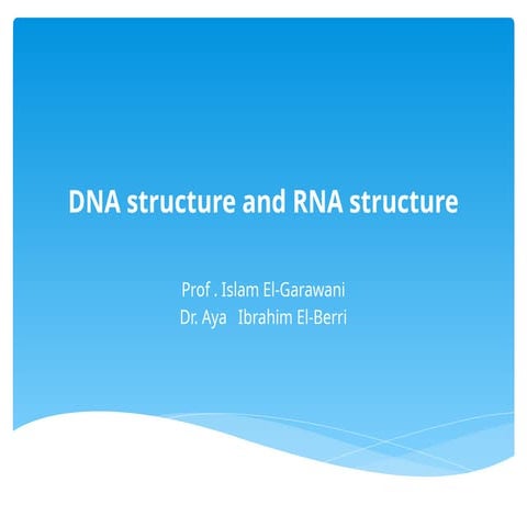 Biochemistry lecture notes nucleic acids | PDF