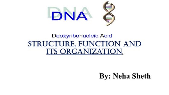Structure of DNA | PPT