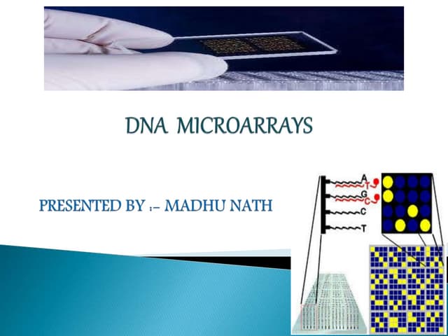 Dna microarray (dna chips) | PPTX