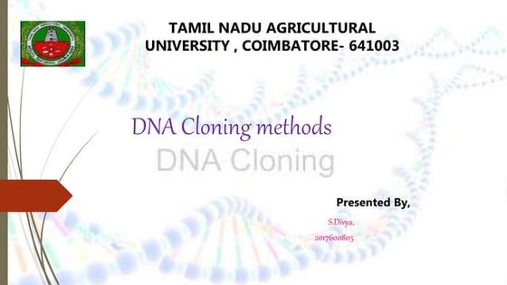 Selection and screening of recombinant clones | PPT