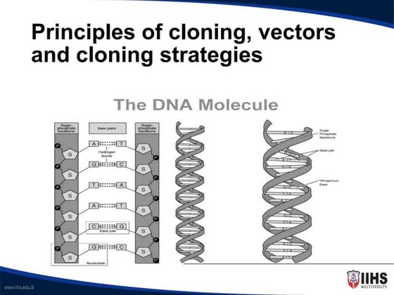 L21. techniques for selection, screening and characterization of ...