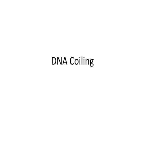 DNA Coiling.ppt