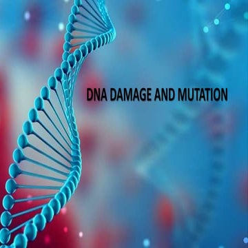 DNA DAMAGE AND MUTATION.pptx