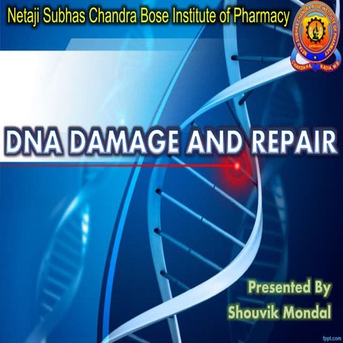DNA damage and repair | PPTX