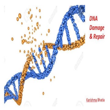 Dna damage and repair | PPTX
