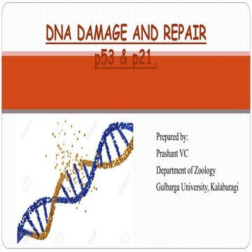 DNA DAMAGE AND REPAIR.pptx