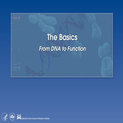 Dna Day Presentation | PPT