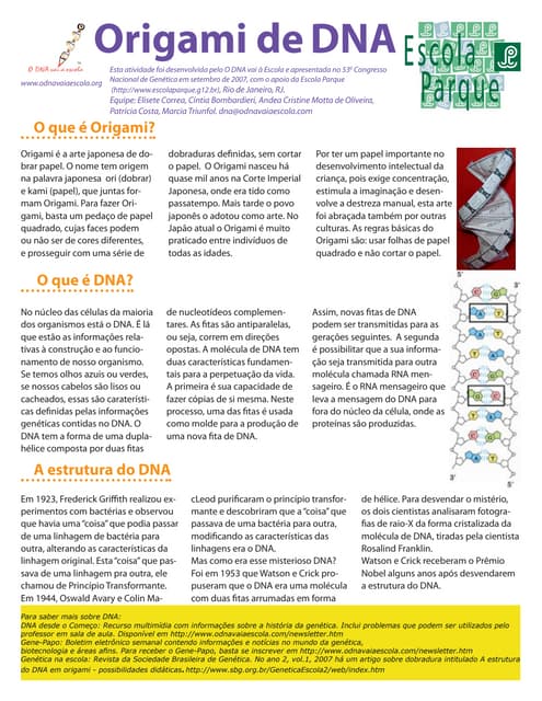 Dna Origamis Presentation | PPTX | Chemistry | Science