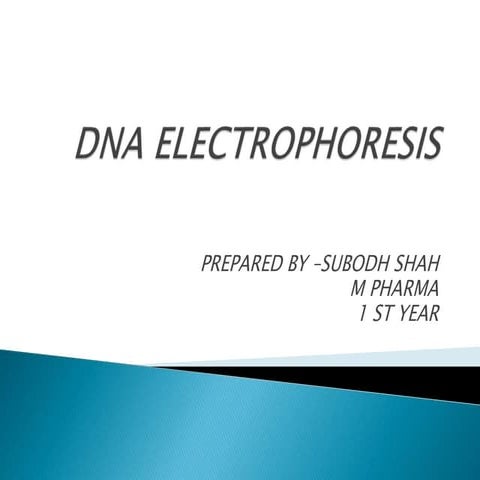 Dna electrophoresis PHARMACOLOGY ,TOXICOLOGY | PPT
