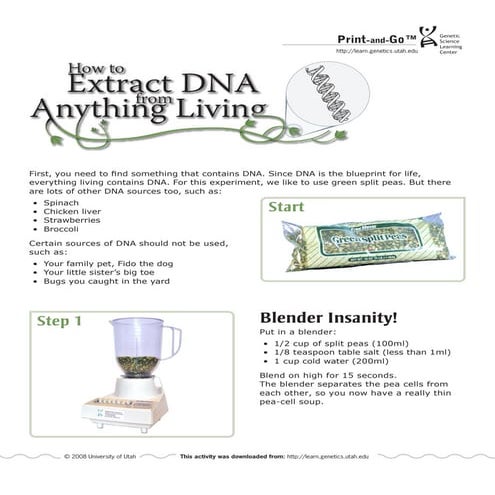 Dna extraction | PDF