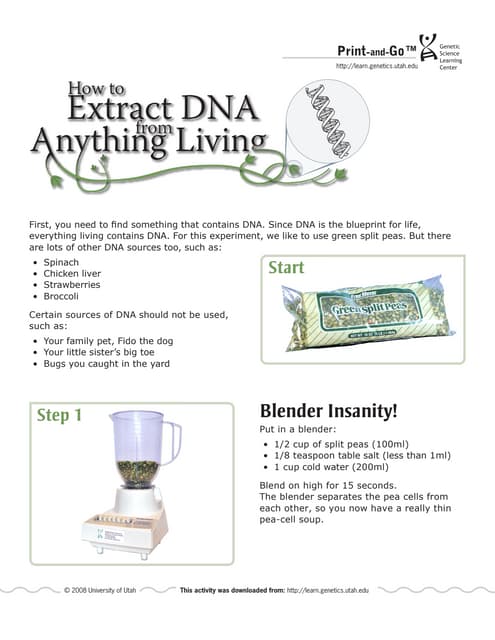 Dna from a banana lab report | PDF
